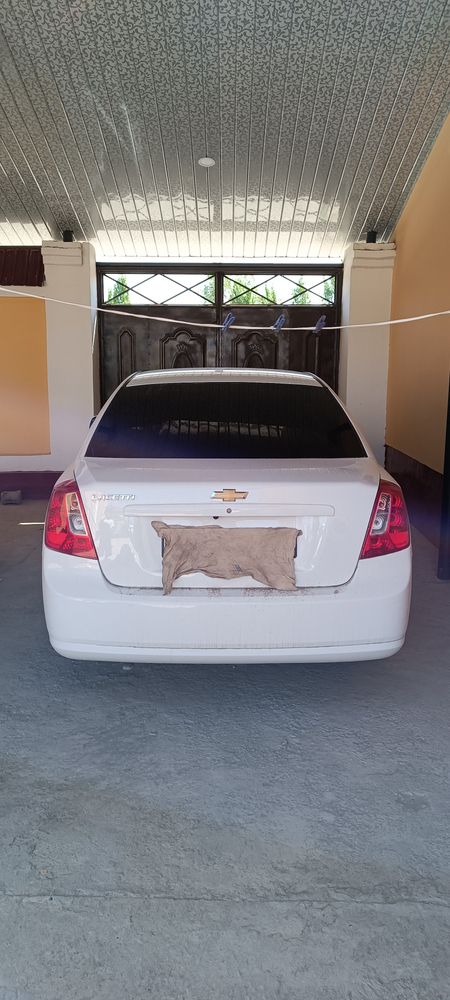 2022 stayel variant mejegar monitoring chexol polik gaz bor