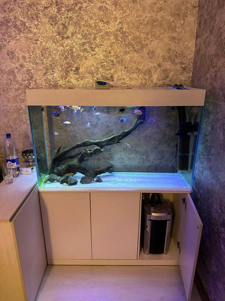 Akvarium sotiladi (аквариум)