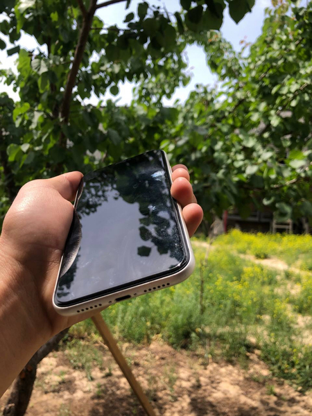 iPhone 11   128 gb