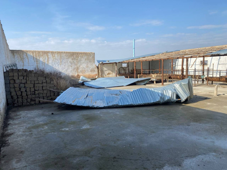 Ferma sotiladi adres Radjabamin