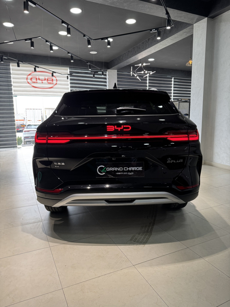 BYD Song plus Champion 2024