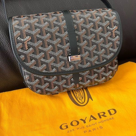 Сумка Goyard Full color