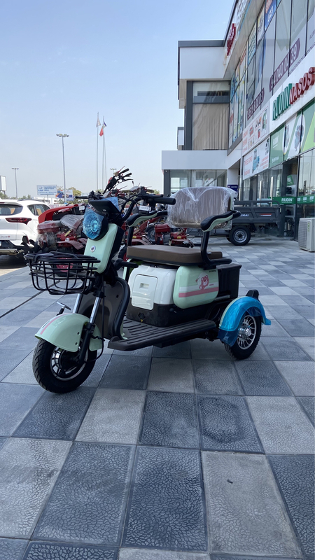 Qiumotors | Model N8