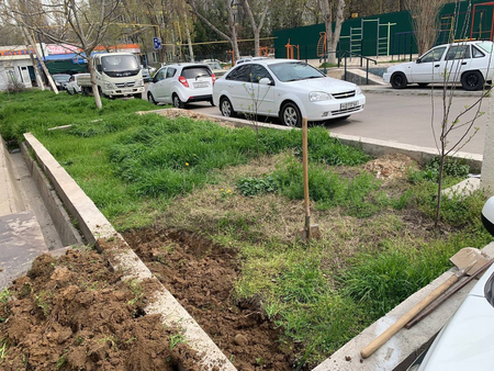 Gazon ekish xizmati