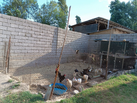 Уртачирчикский район карасу продаётся свой дом