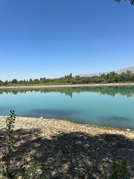 Водохранилище 30 сот 2 дома