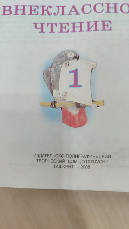Внеклассное чтение