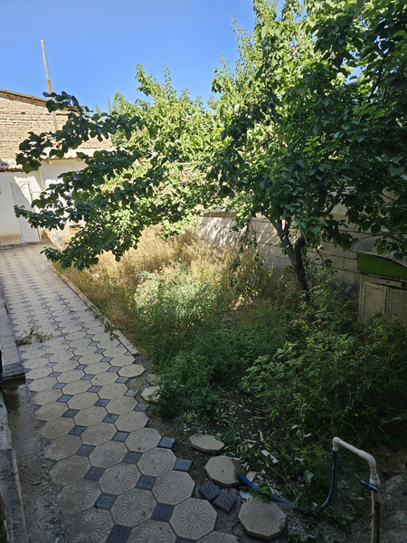 Ховли 3 сутихли.