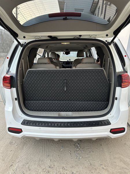 9D polik / коврики для Kia Carnival 2020 года