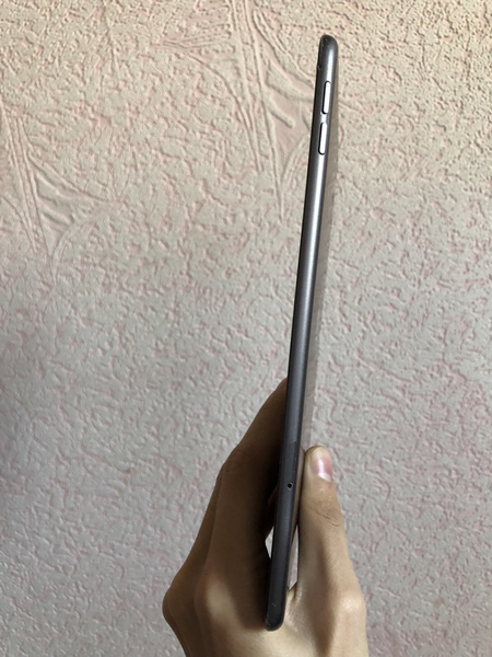 Ipad 5 mini(5 поколения)  256gb +sim karta