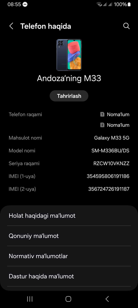 SAMSUNG GALAXY M33 5G  xolati ideal karobka dakment sroncha sotiladi