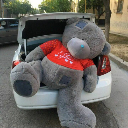 Teddy va boshqa yumshoq oʻyinchoqlar