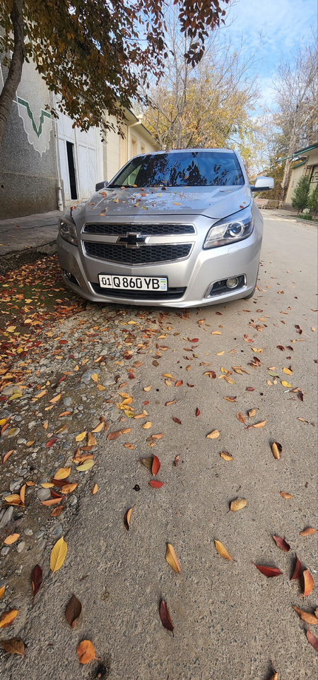 Malibu 1 / 3 pozitsiya