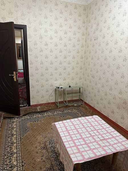 АРЕНДА 3х/2/5 Кора-камиш 2/5 БЕЗ МАКЛЕР