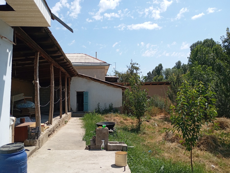 Uchastka bor 8 sotix  Yangiyolda
