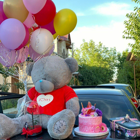 Teddi teddy teddiy
