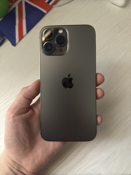iPhone 13 Pro Max 256GB 100%