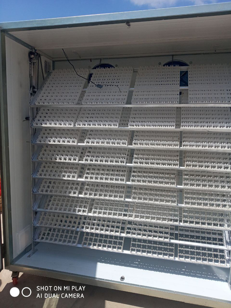 Инкубатор та товук. 3200 та товук тухуми сигади.