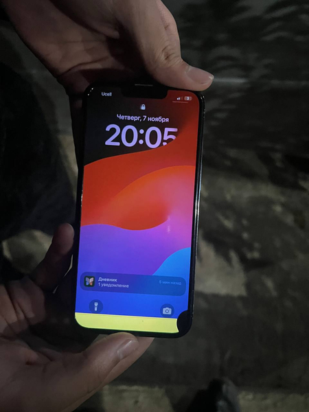 Iphone 13 pro dogli