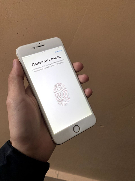 Ayfon 6 plus gold rang tinuu sastayaniya