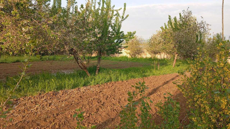 Участок битмаган уй билан сотилади. Янигибозор .