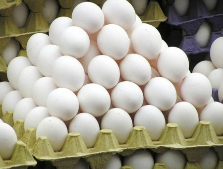 Тухум Сотамиз 1,2,3 категория арзон нархда  Манзил Миробод бозори