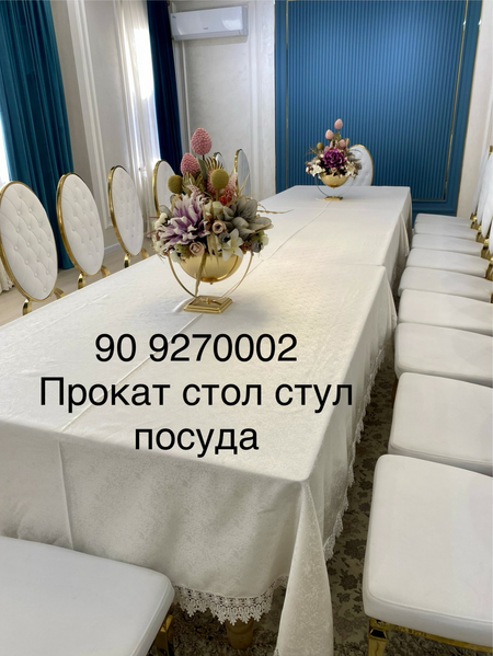 Прокат Prakat stol stul chinnilar arenda