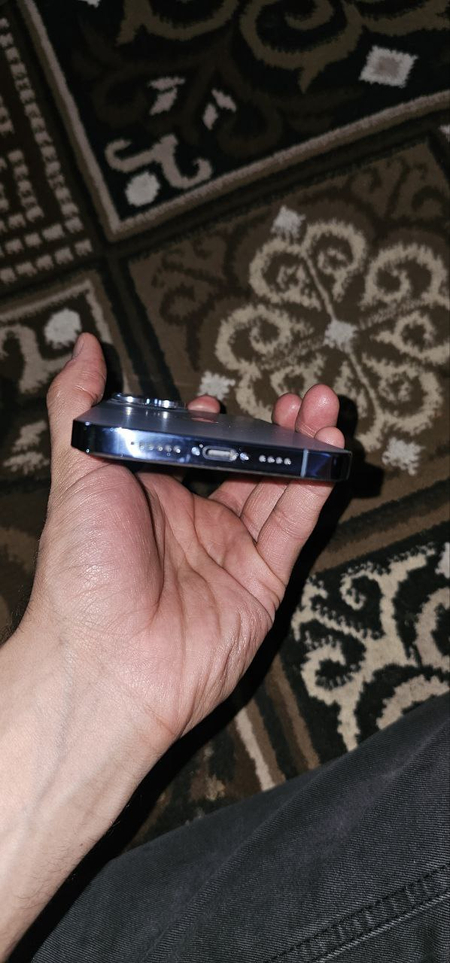 Iphone 13 pro max 256