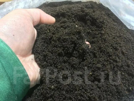 Sifatli biogumus sotiladi