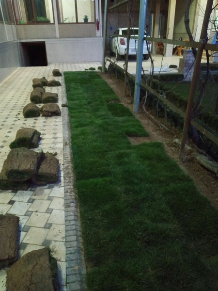 Gazon ekish xizmati