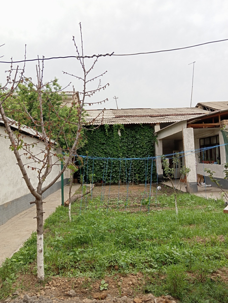 5 sotix fayzli hovli sotiladi