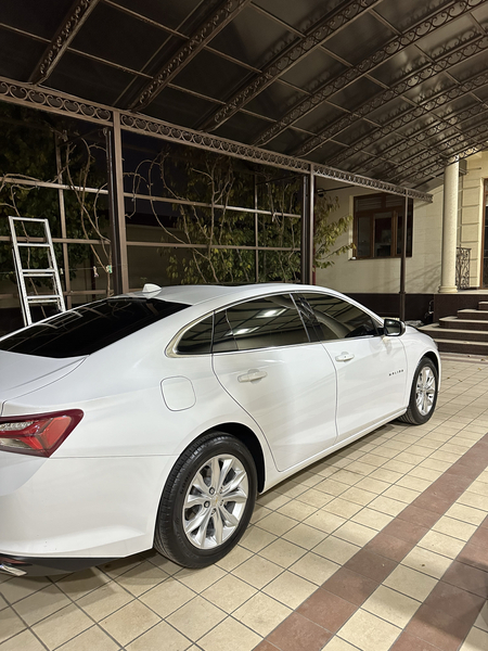Malibu 2 Primier