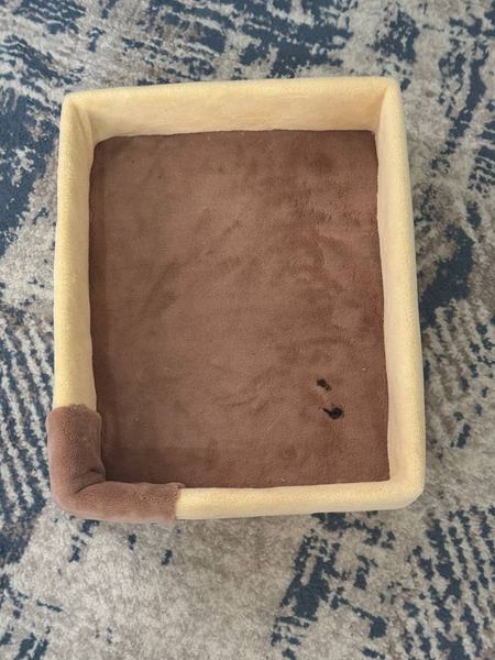Кошечка продаётся