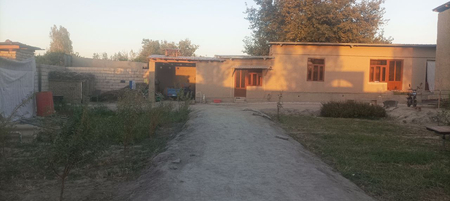 Xovli sotiladi dakument bor