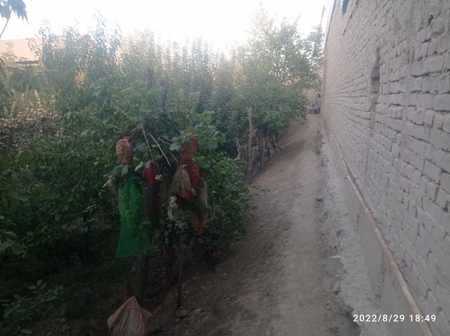 8 sotixlik uchaska,xolati yaxshi