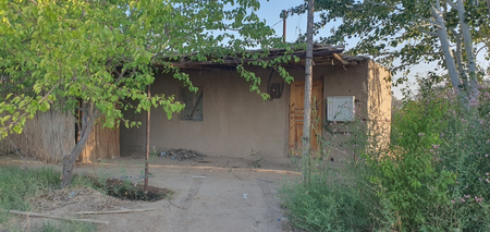 Xamma xujjatlari bor