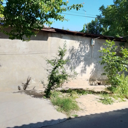 Toshkent shahar Chilonzor, mevazor mahalla 1 tor Hosilot 90 a uy