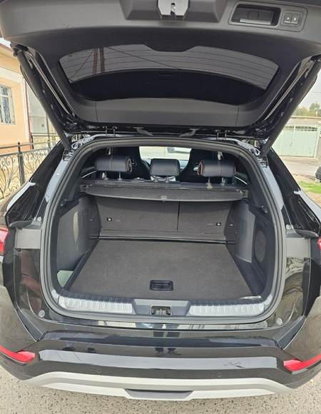 BYD CHEMPION 605 KM. 2023.
