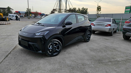 BYD Seagull qora