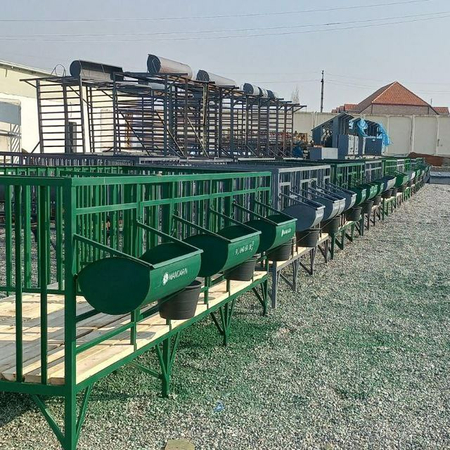 Qóyxona tovuqkataklar