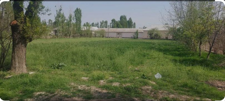 SROCHNO Hovli uy sotiladi
