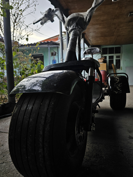 CityCoco trike scooter 1000w