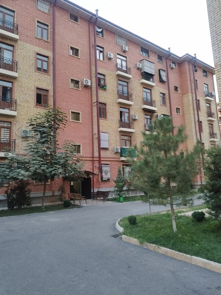 3 хонали квартира 80+30 подвали билан евро ремонт навастройка