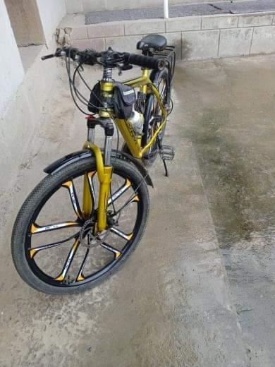 Velosipaed pashti yangi