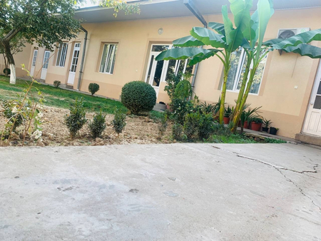 Nazarbeda 8 maktab roparida machit maxalada uy soyiladi
