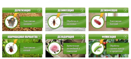 Дезинфекция от всех насекомых 24/7