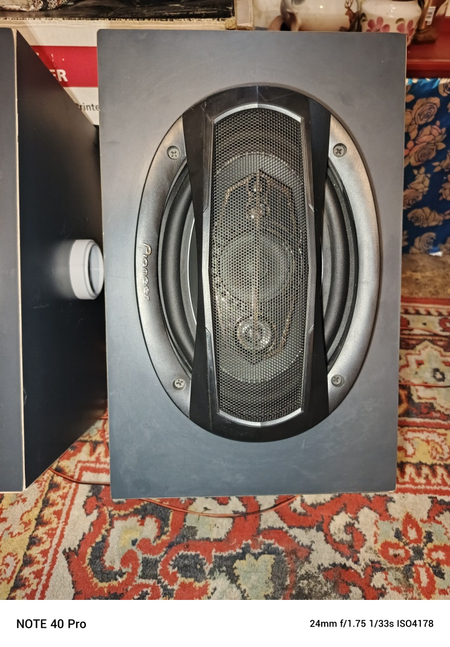 Kalonkala sotiladi pioneer