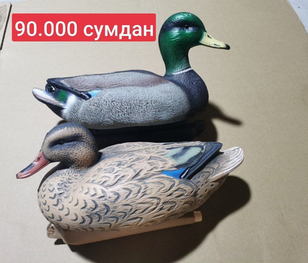 Махокрыл сотилади хар хил , утка , голубь,  чирок