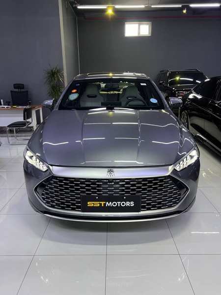 Byd qin plus DM-i