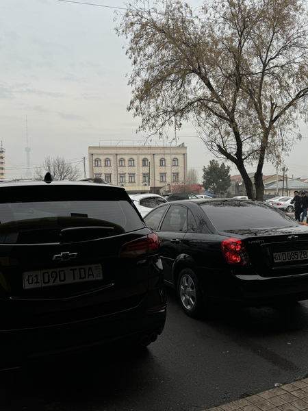 Rent car / avtoprokat